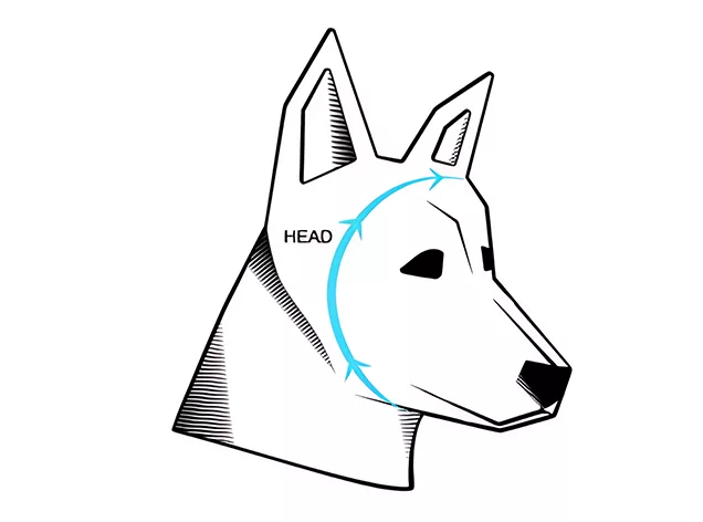 Noise-Cancelling Waterproof Dog Ear Muffs for Swimming and Grooming